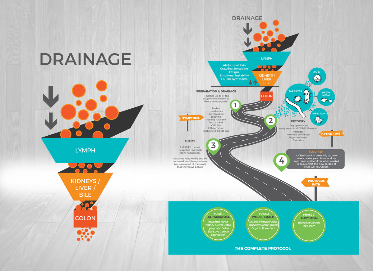 Microbe Formulas - Infographics – afireflystudio